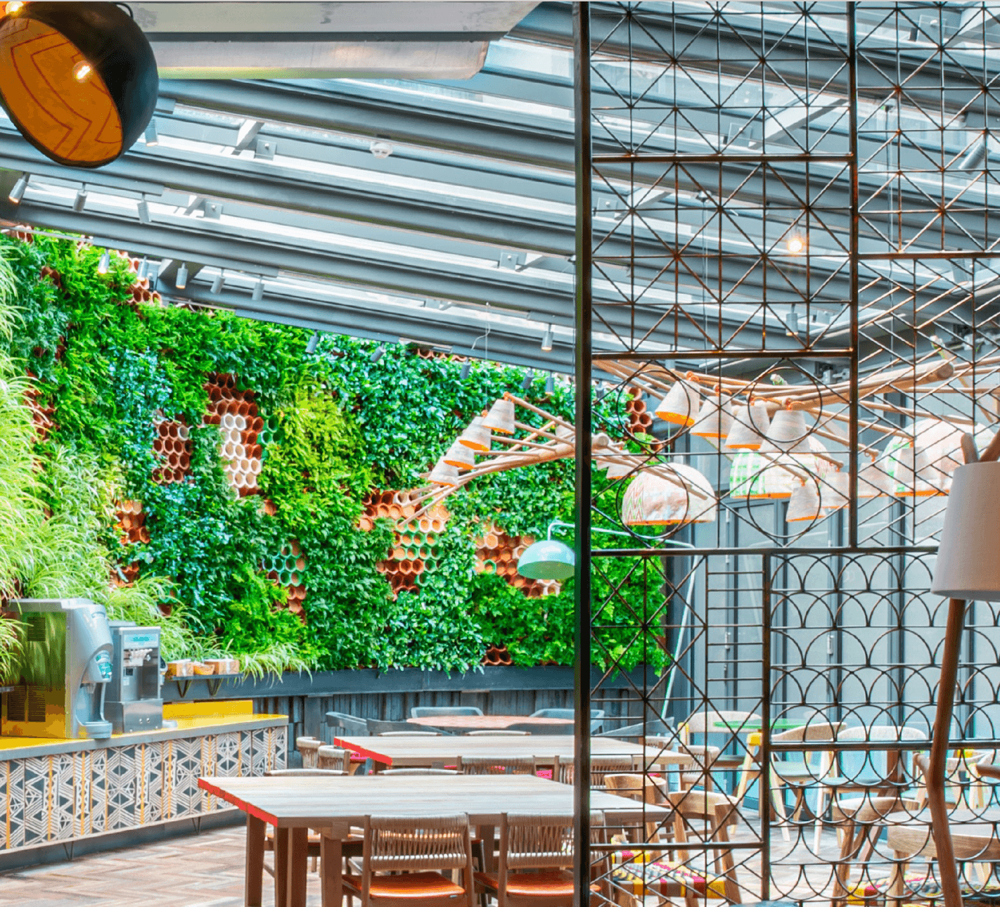Behind the Green Wall: How Living Walls Are Designed and Maintained