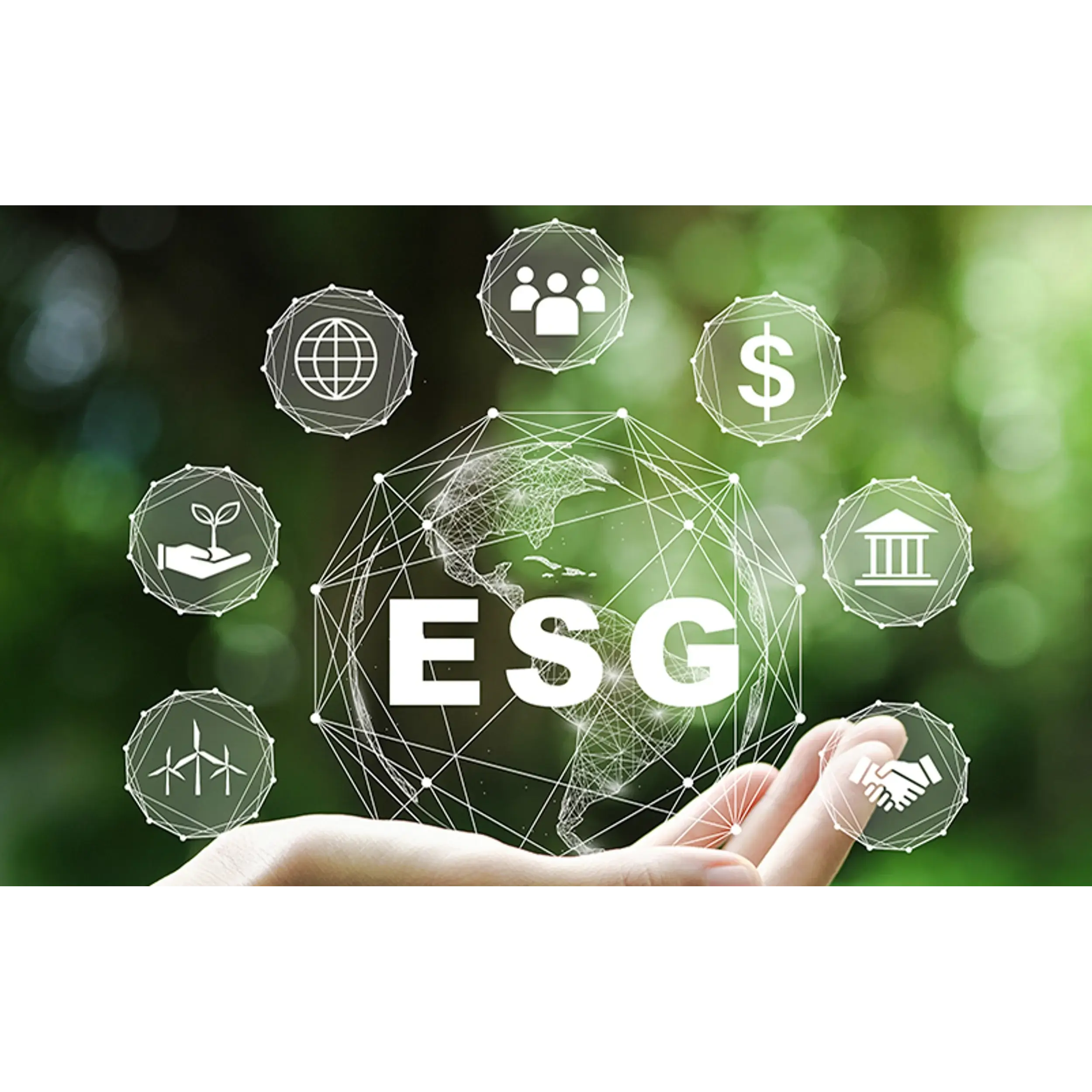 Plant Benefits - Plant Plan